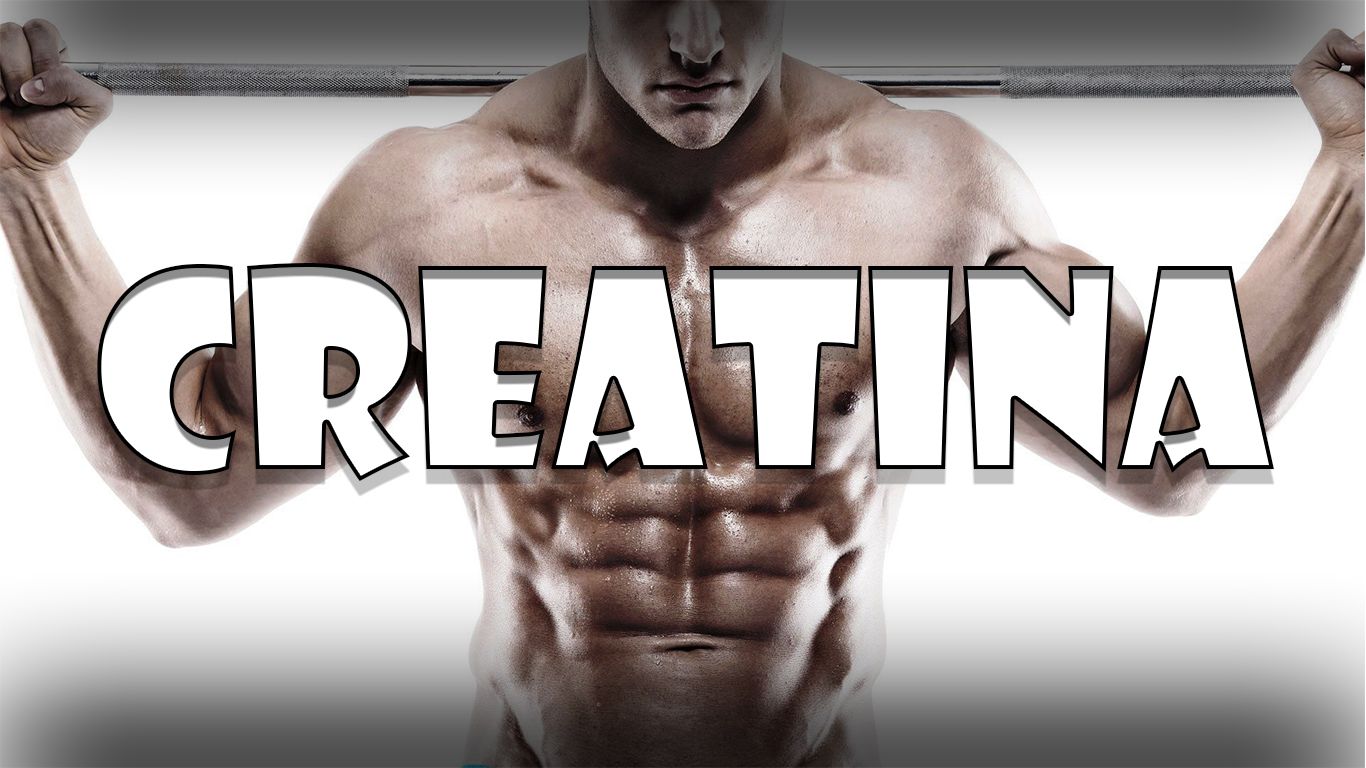 TODO sobre la CREATINA ⚡⚡【 el REY de los SUPLEMENTOS